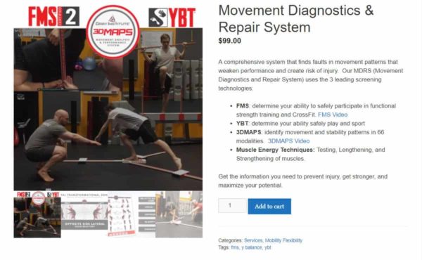 FMS Functional Movement Screen YBT Y-Balance Test - CrossFit Sand & Steel