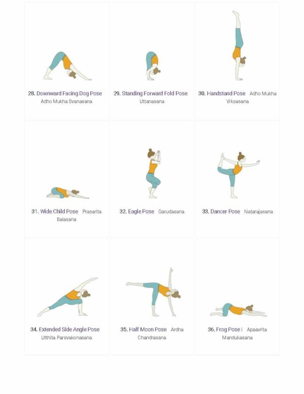 Yoga Classes Alexandria VA Alignment 88 Top Poses