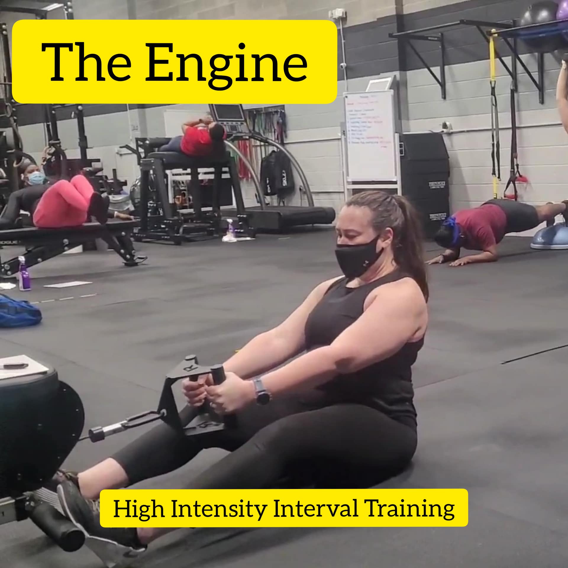 Shield Yoga Flow Hip Openers - Sand and Steel Fitness